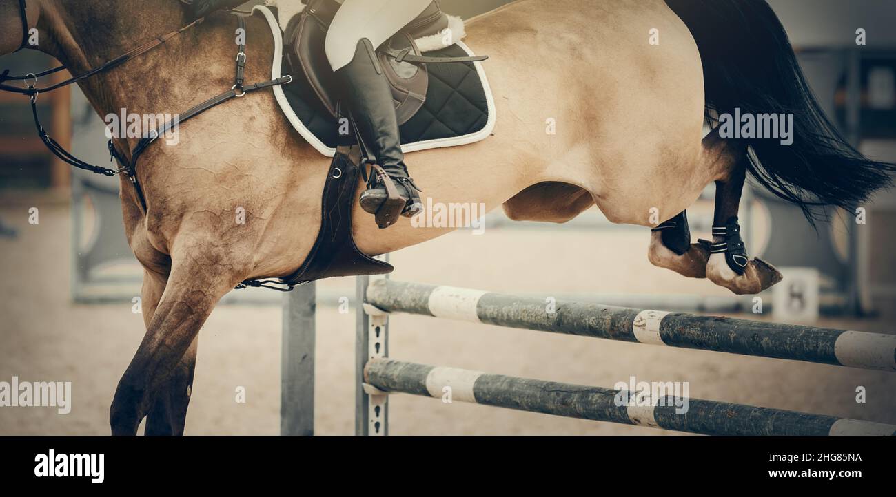 The shod hooves of a horse over an obstacle. The horse overcomes an ...