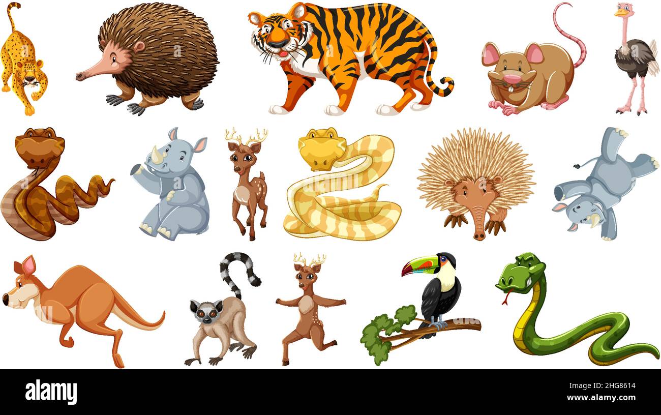 Set of different wild animals cartoon characters illustration Stock ...