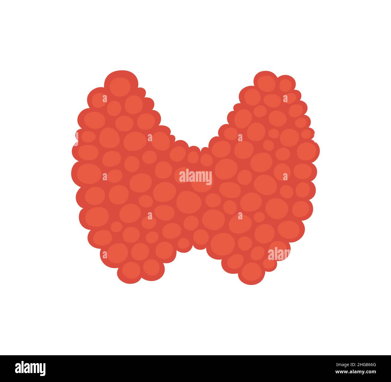 Thyroid Gland In Flat Style Drawing Of A Healthy Thyroid Gland Vector