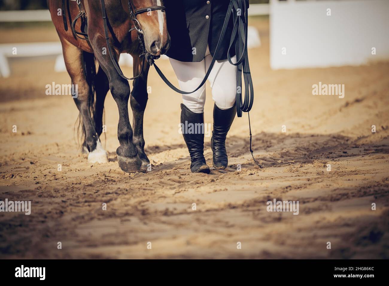 Feet sports horse and rider after the competition. Equestrian sport ...