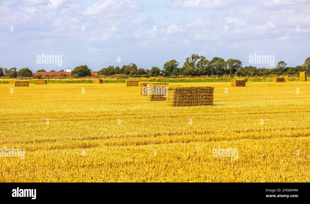 Food bails hi-res stock photography and images - Alamy