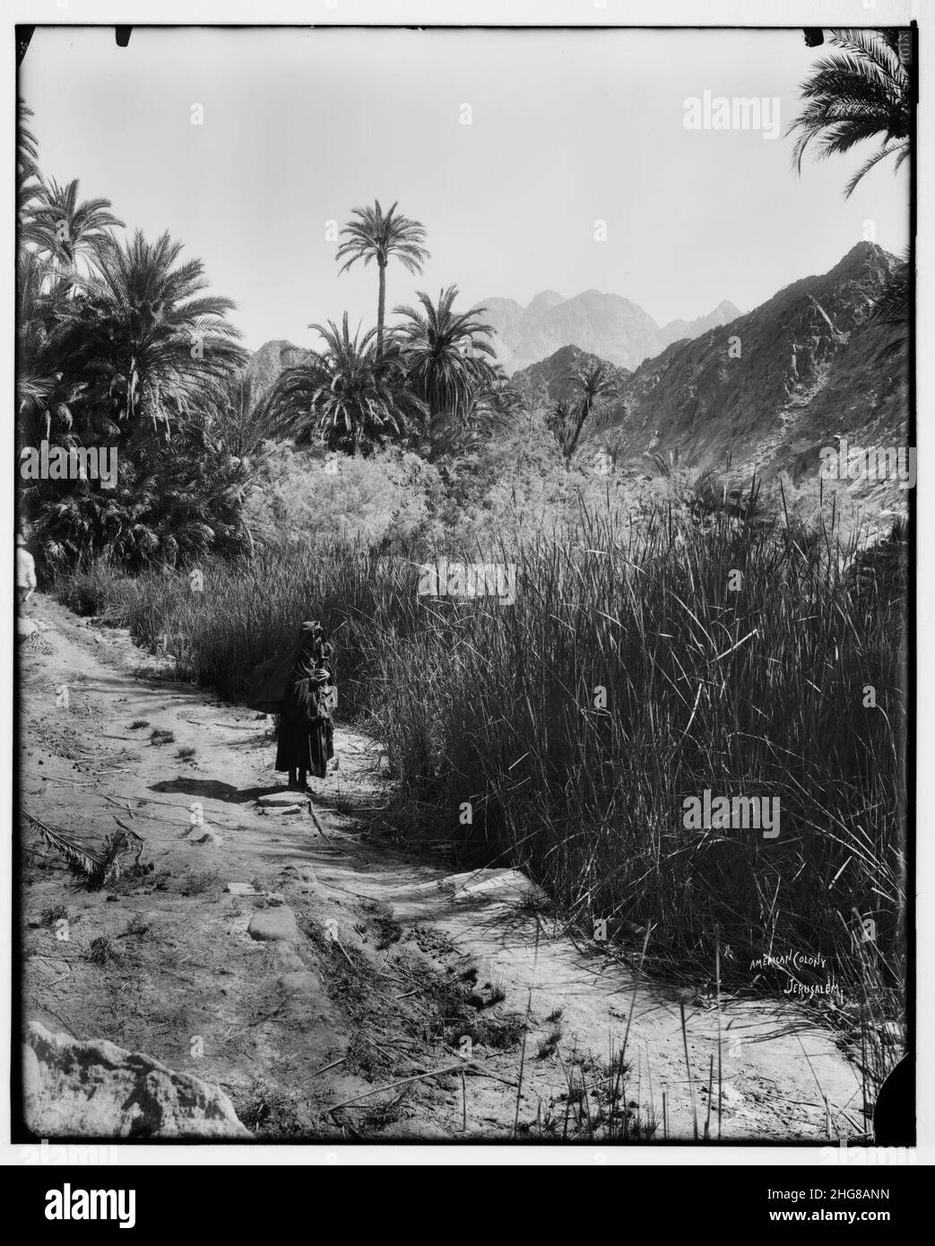 Feiran oasis hi-res stock photography and images - Alamy