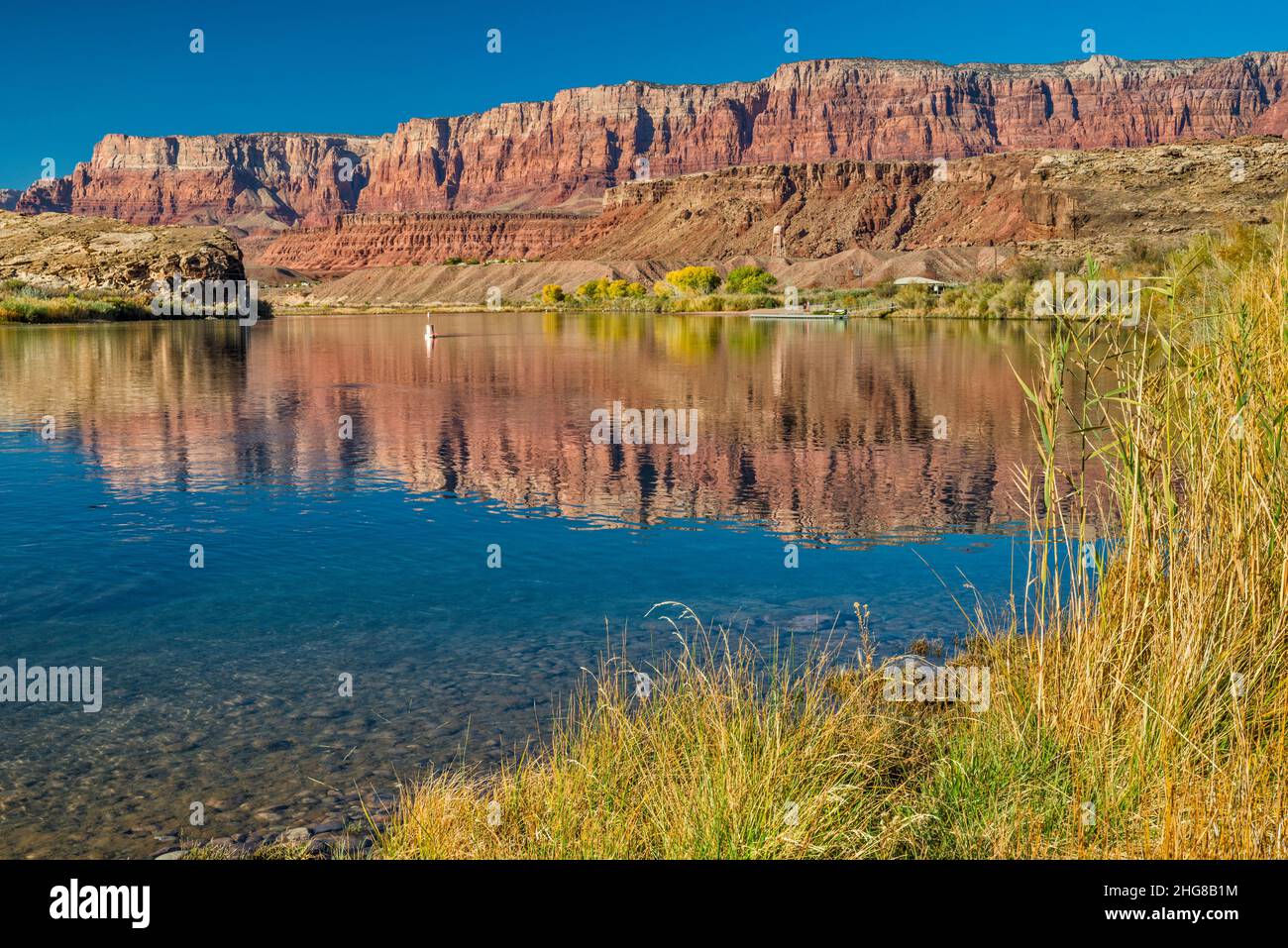 Tussock Grasses High Resolution Stock Photography and Images - Alamy
