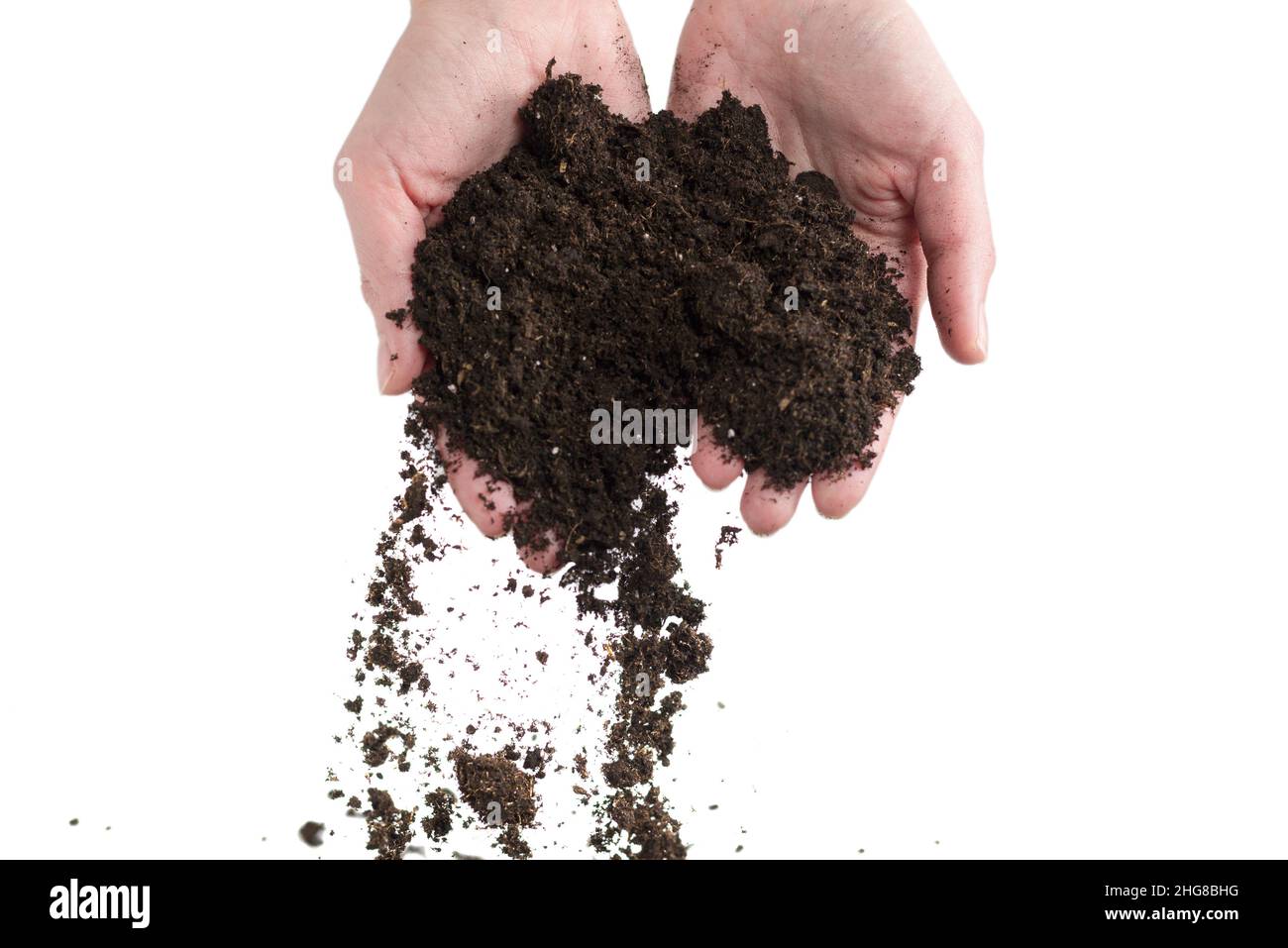 Brown soil in woman hands isolated on white background. The soil falls ...