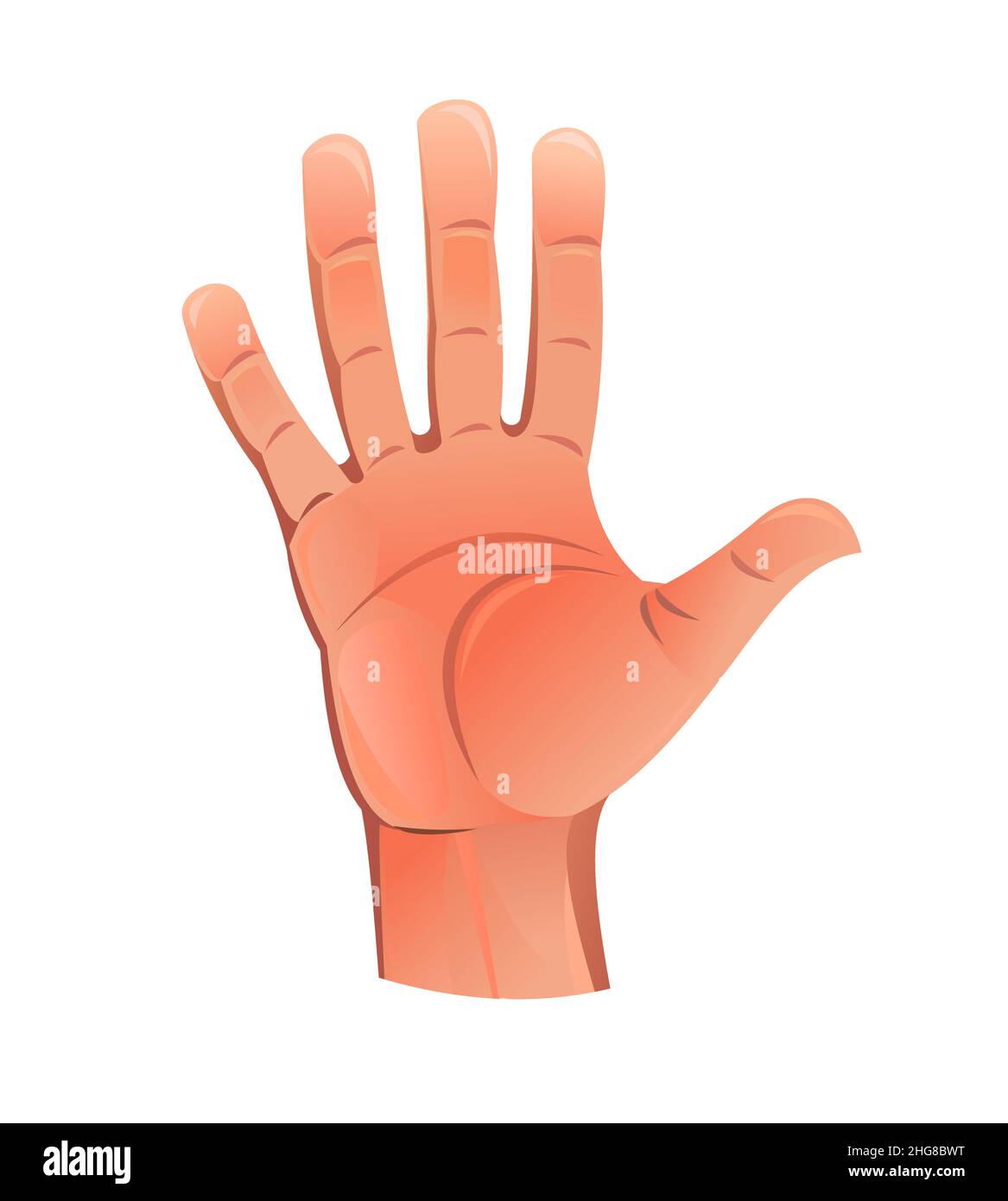 Palm of hand raised up with five finger. Object isolated on white ...