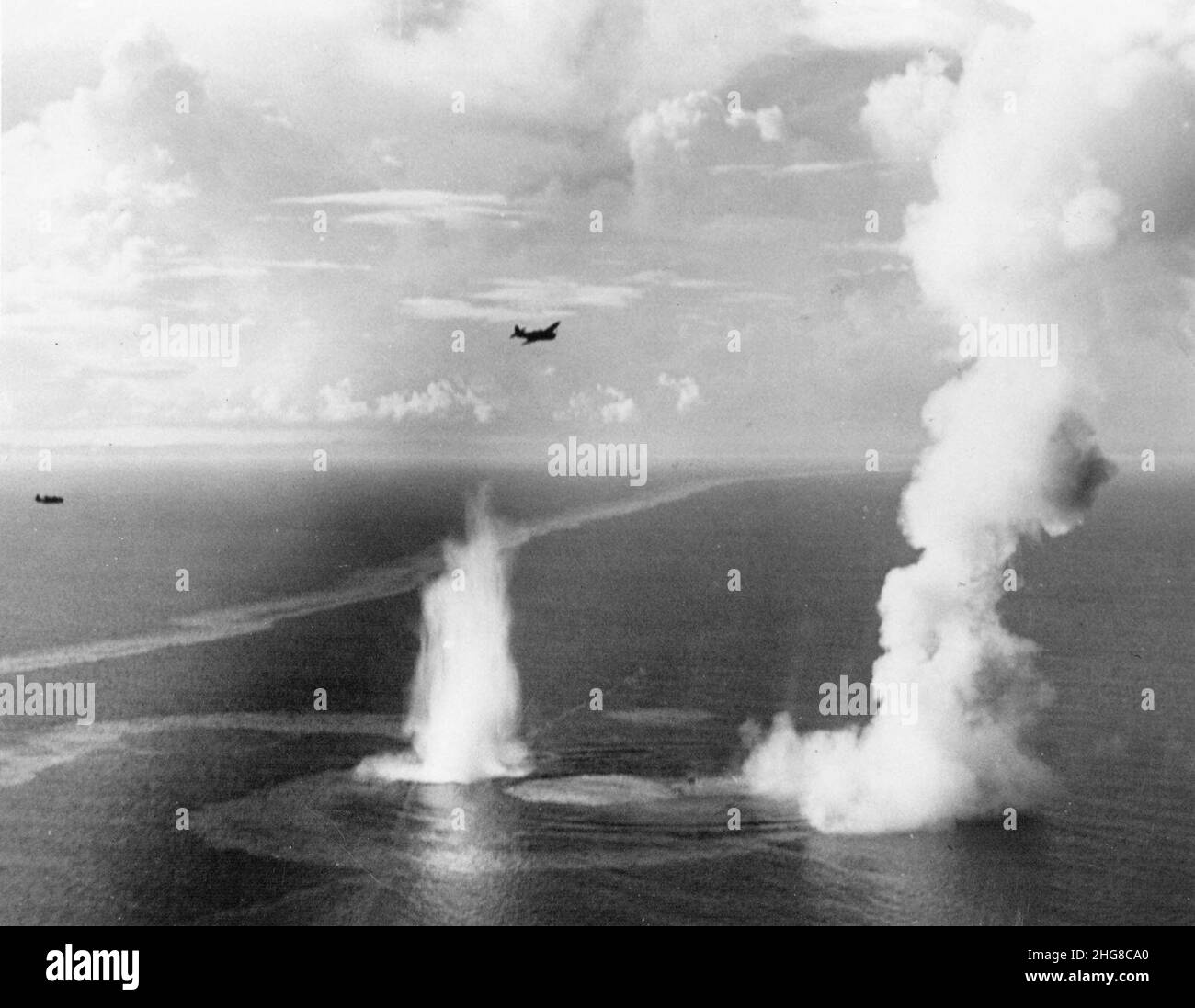 Wakatake hi-res stock photography and images - Alamy