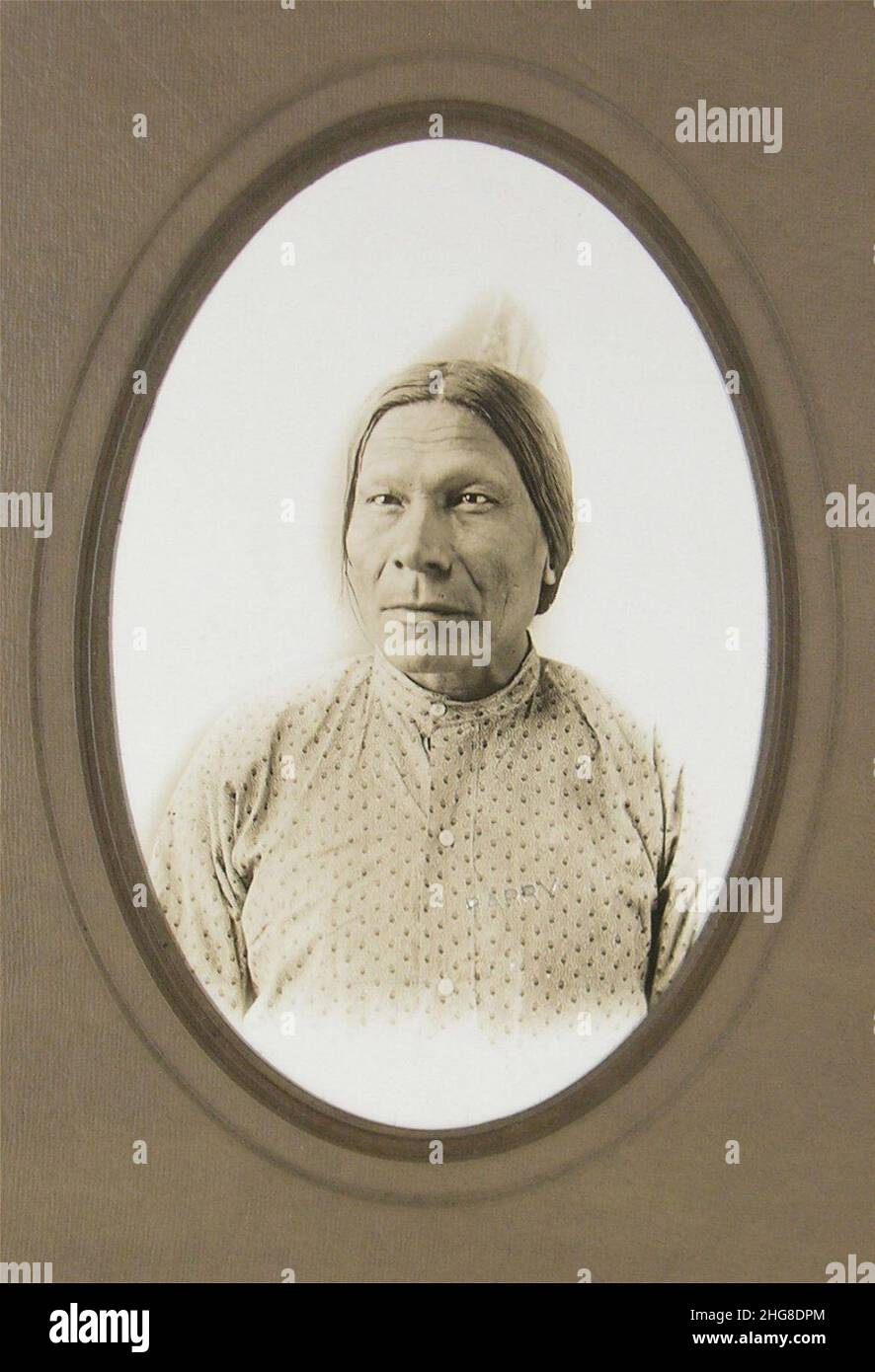 Sioux Chief Black Bull by D. F. Barry Stock Photo - Alamy