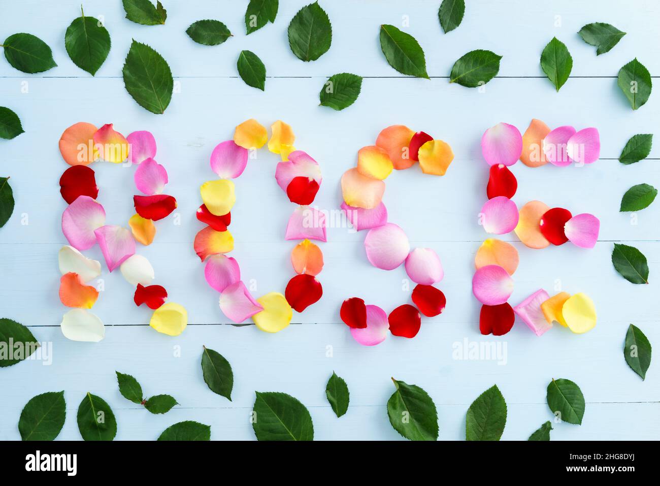 Word rose made out of rose petals Stock Photo - Alamy