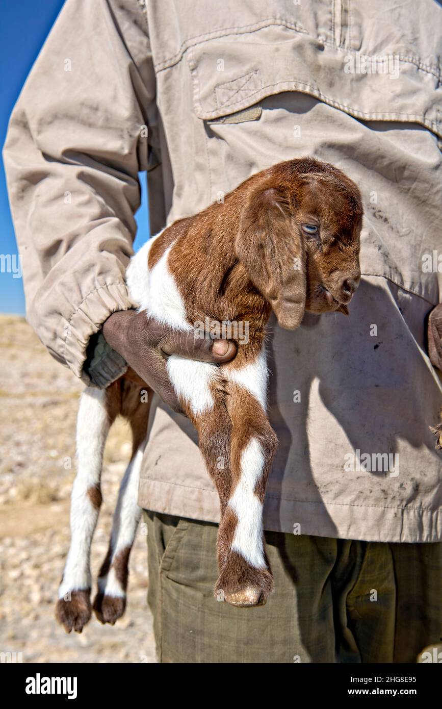 Working in namibia hi-res stock photography and images - Alamy