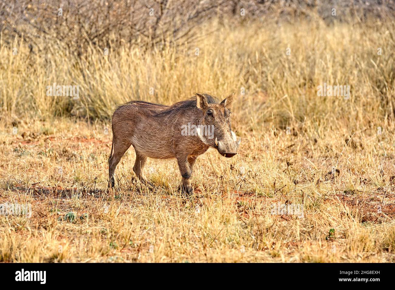 Deleted hi-res stock photography and images - Alamy