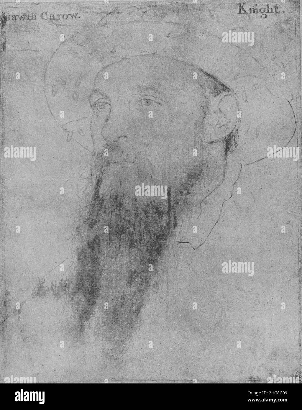 Sir Gavin Carew, by Hans Holbein the Younger Stock Photo - Alamy