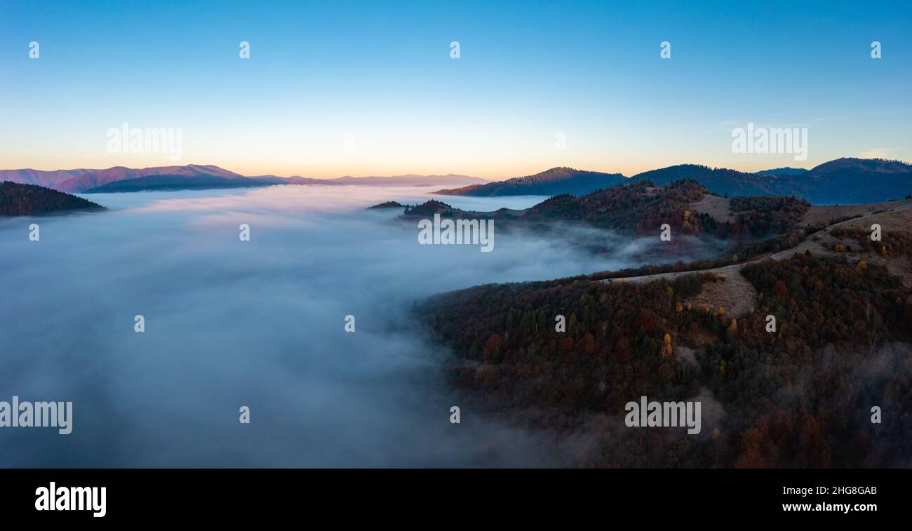 Thick fog among peaks of high mountain ridge covered with evergreen ...