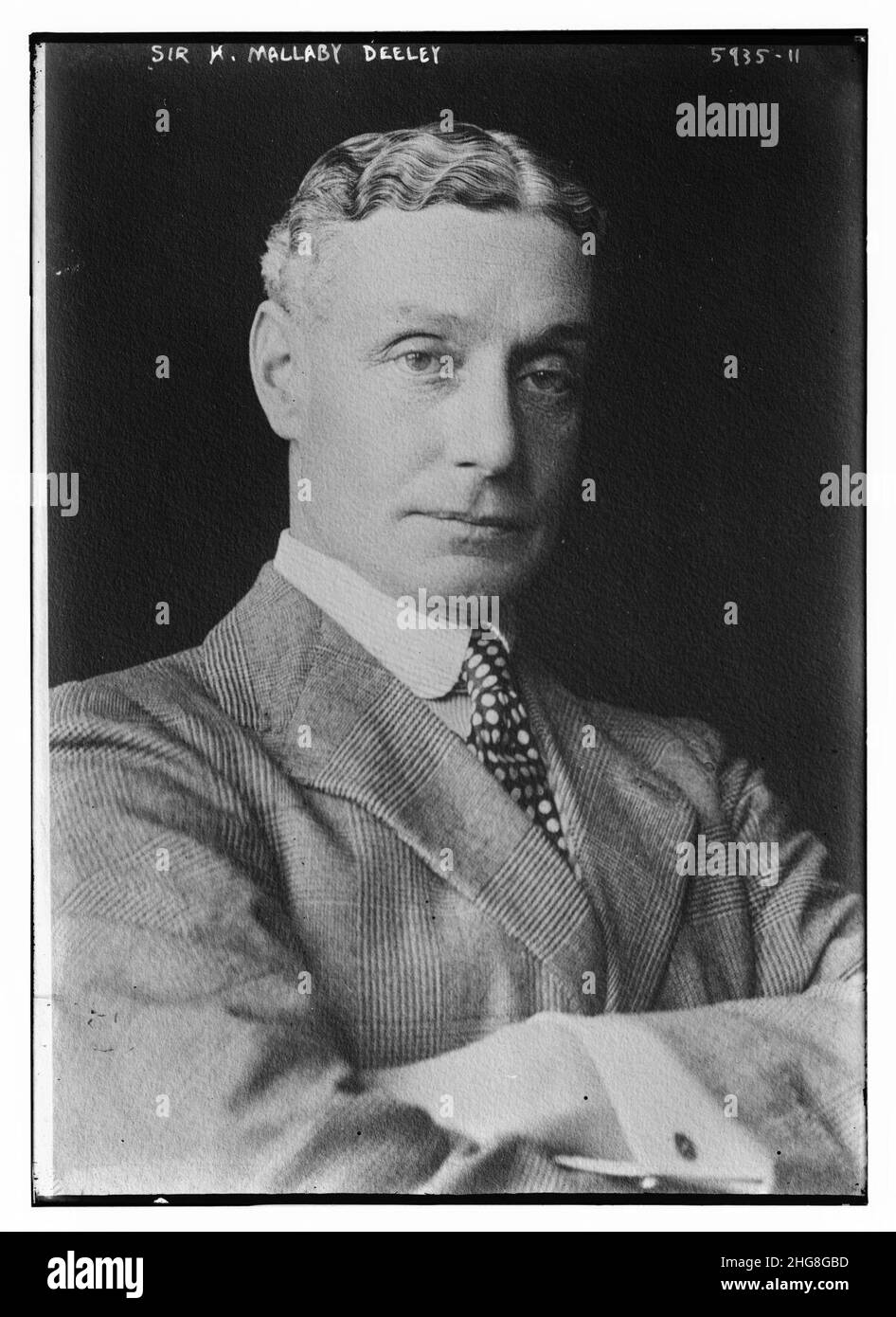 Mallaby hi-res stock photography and images - Alamy