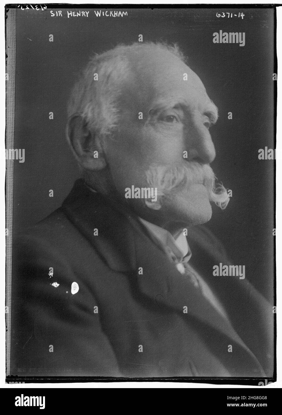Sir Henry Wickham Stock Photo - Alamy