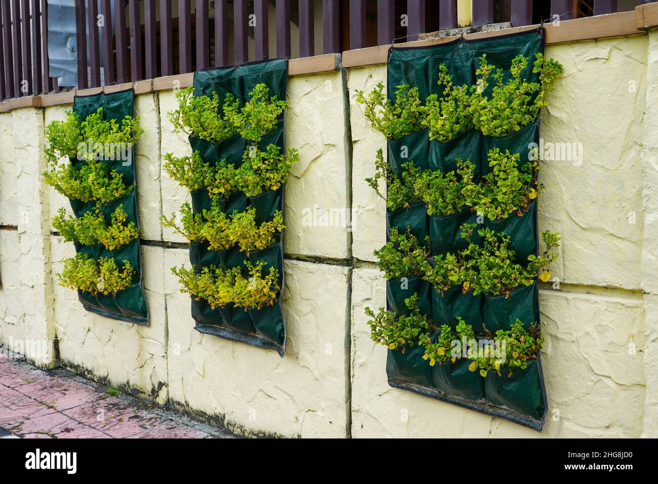 A green wall is a vertical built structure intentionally covered by ...