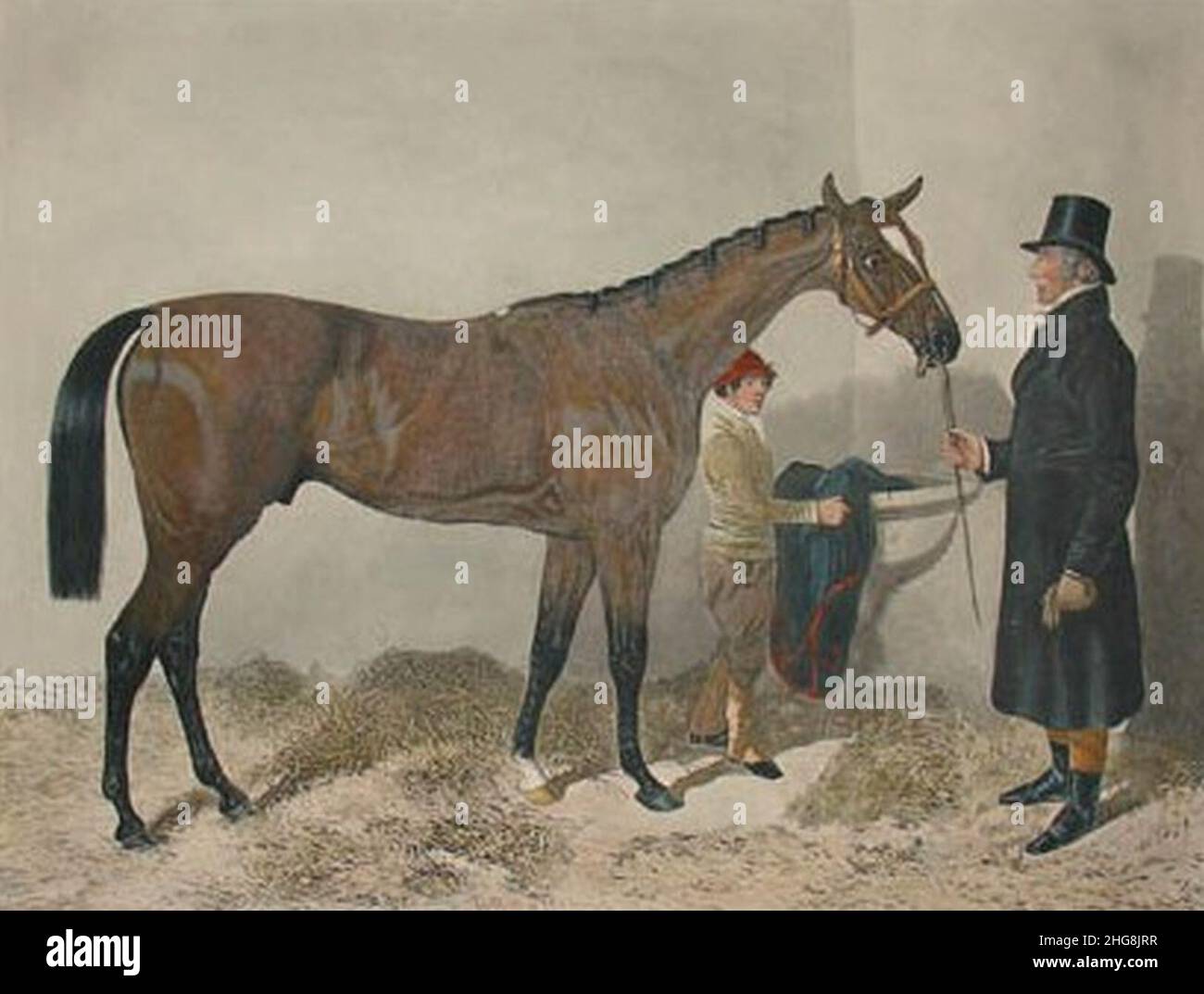 Sir Tatton Sykes (horse Stock Photo - Alamy