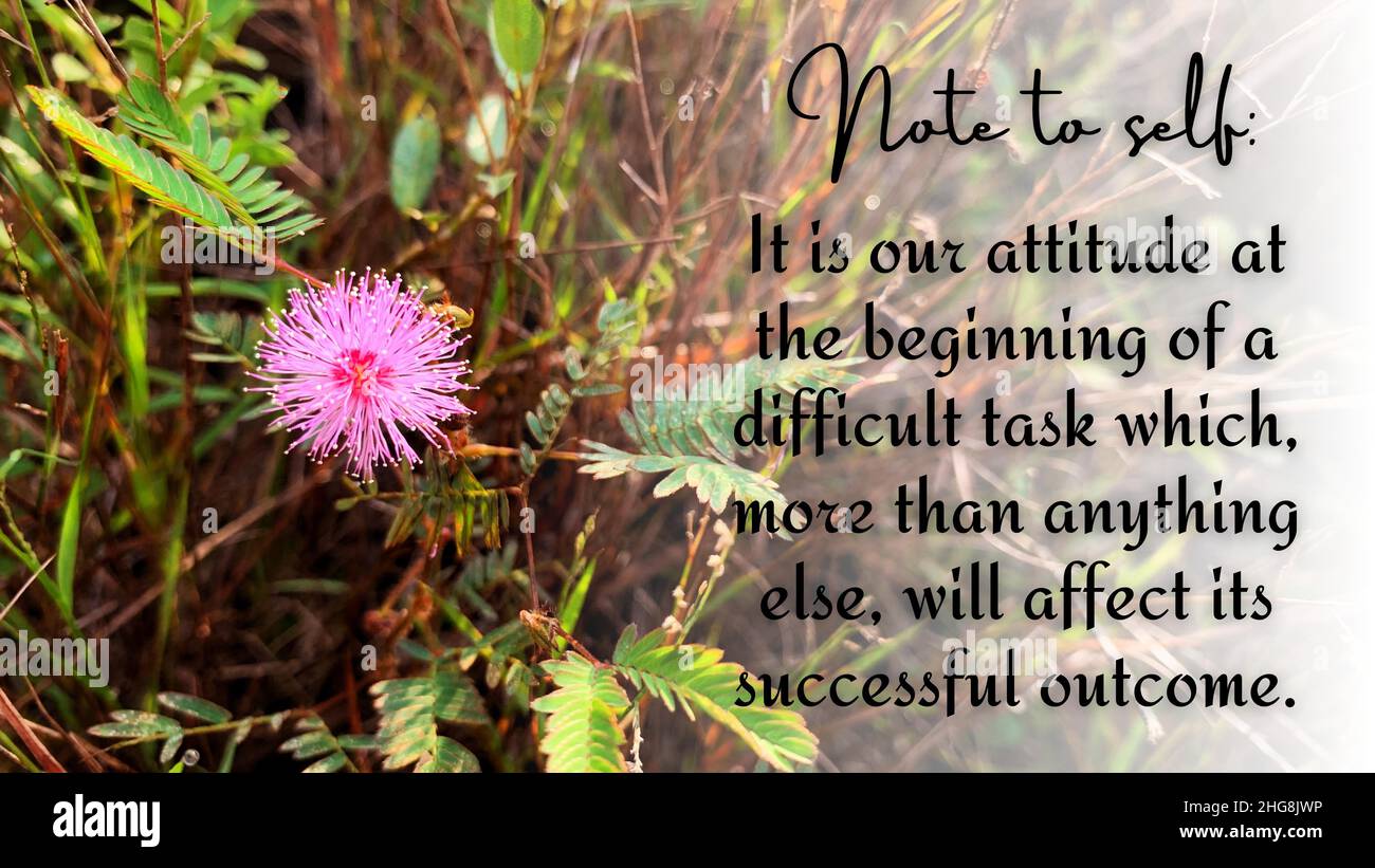 Inspirational and motivational quote about life with beautiful pink ...