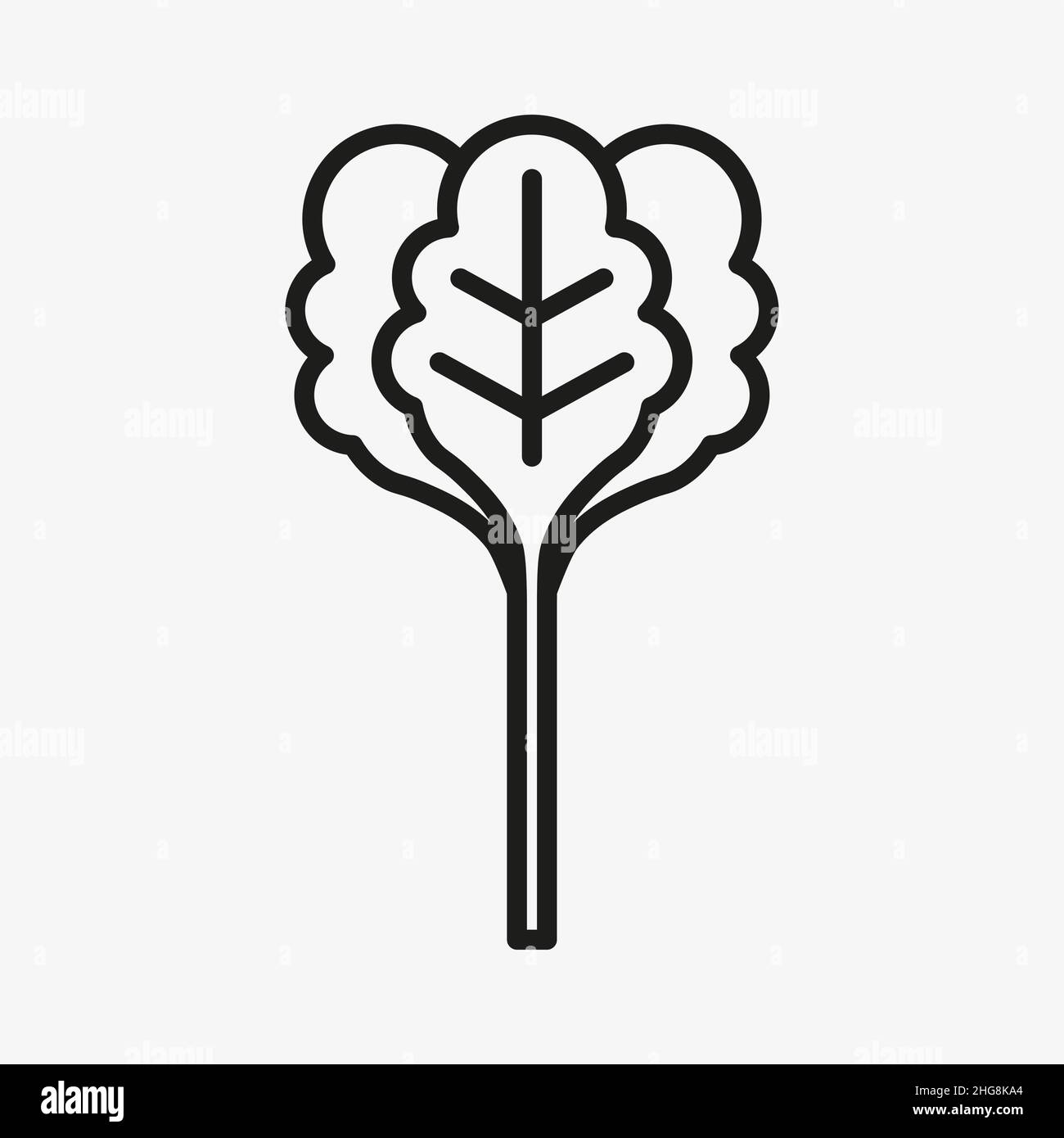 Vector rhubarb icon isolated on white background Stock Vector Image ...