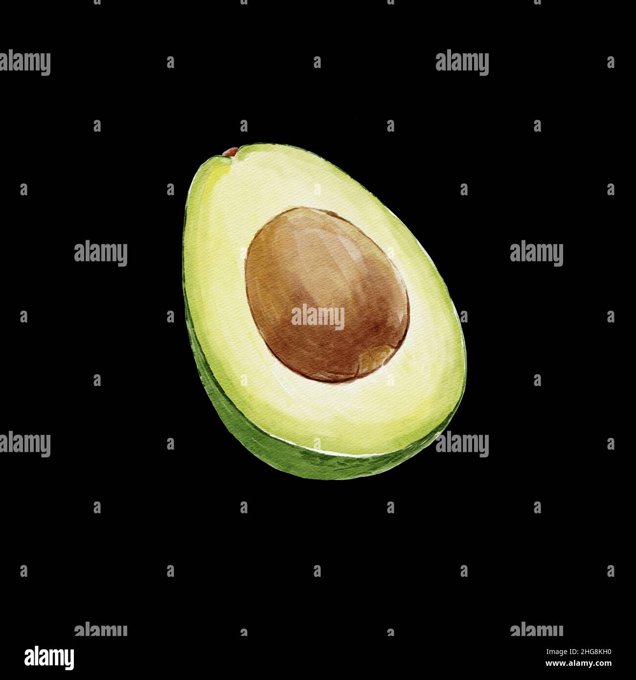 avocado watercolor illustration on black background Stock Photo - Alamy