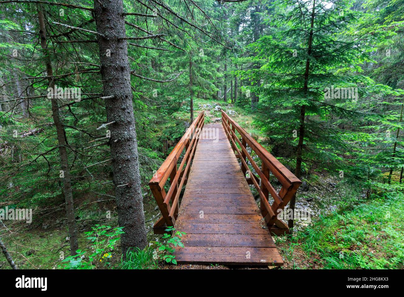 Wooden footbridge on trail in nature park for trekking Stock Photo - Alamy