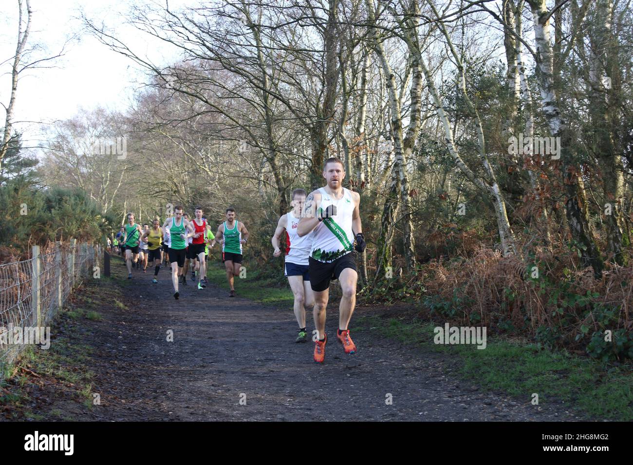 runners in a cross country running race Stock Photo - Alamy