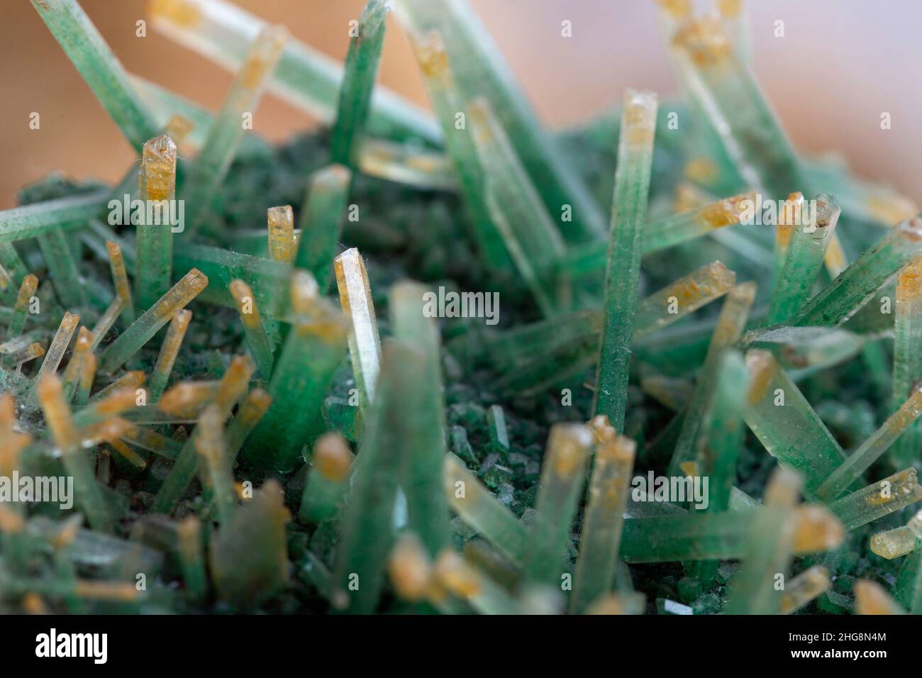 gypsum selenite mineral specimen stone rock geology gem crystal Stock ...