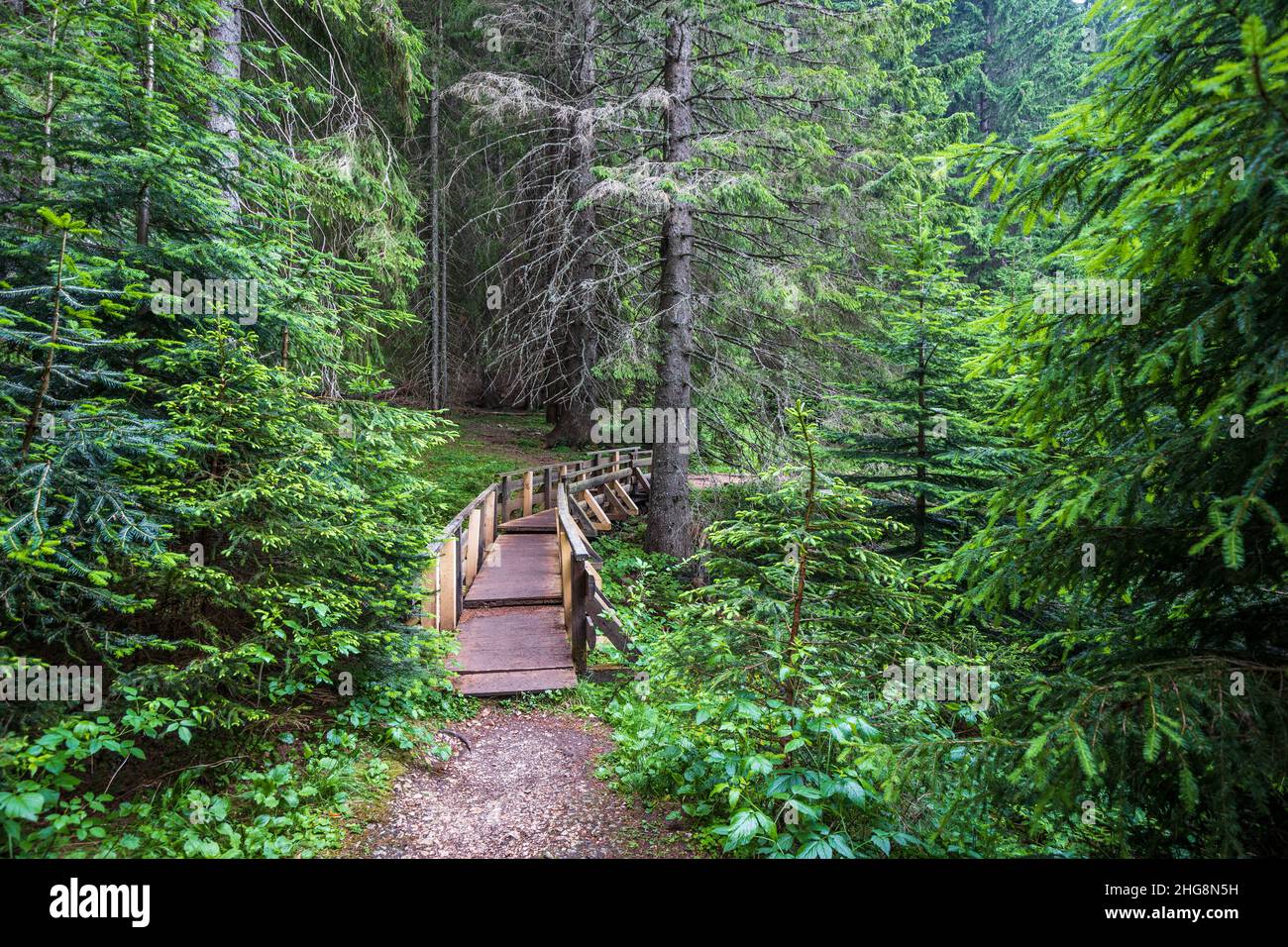 Wooden footbridge on trail in nature park for trekking Stock Photo - Alamy