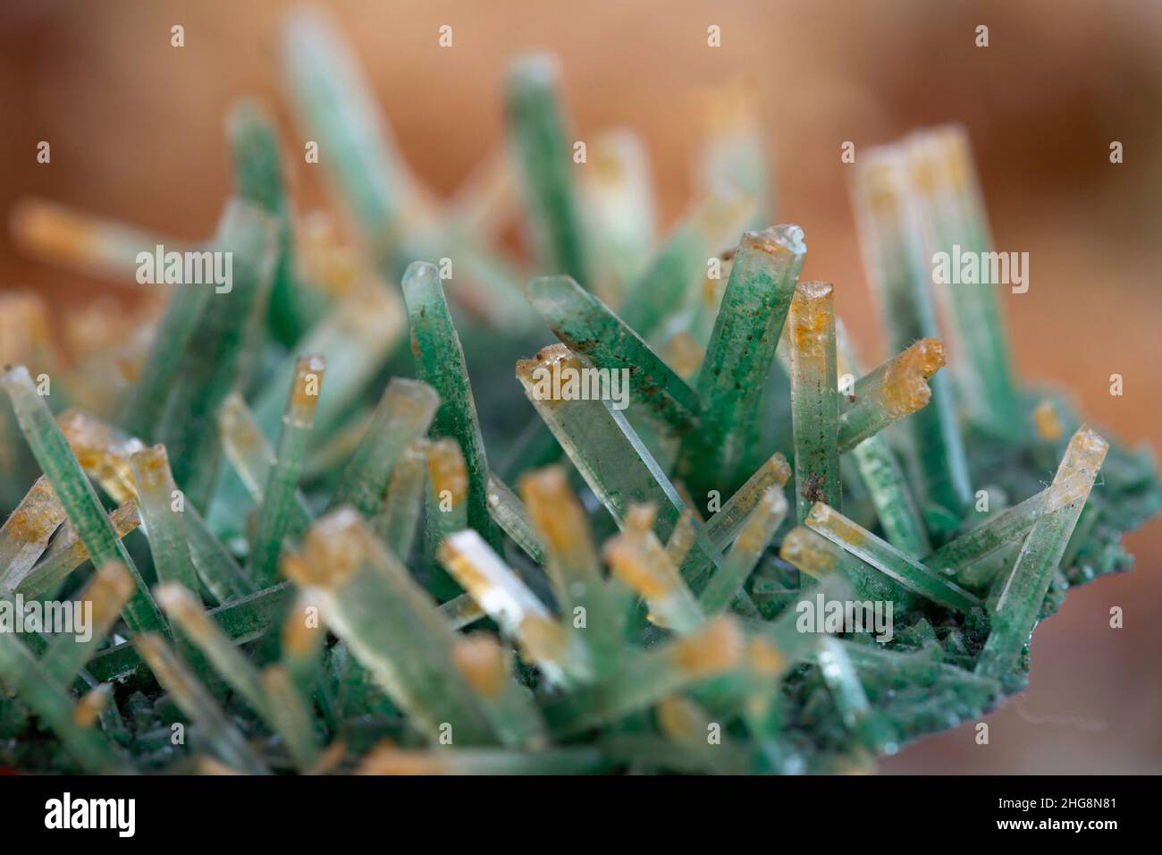 gypsum selenite mineral specimen stone rock geology gem crystal Stock ...