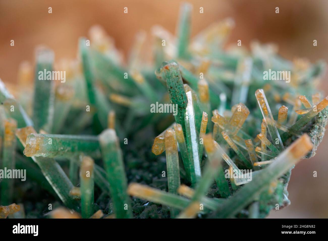gypsum selenite mineral specimen stone rock geology gem crystal Stock ...