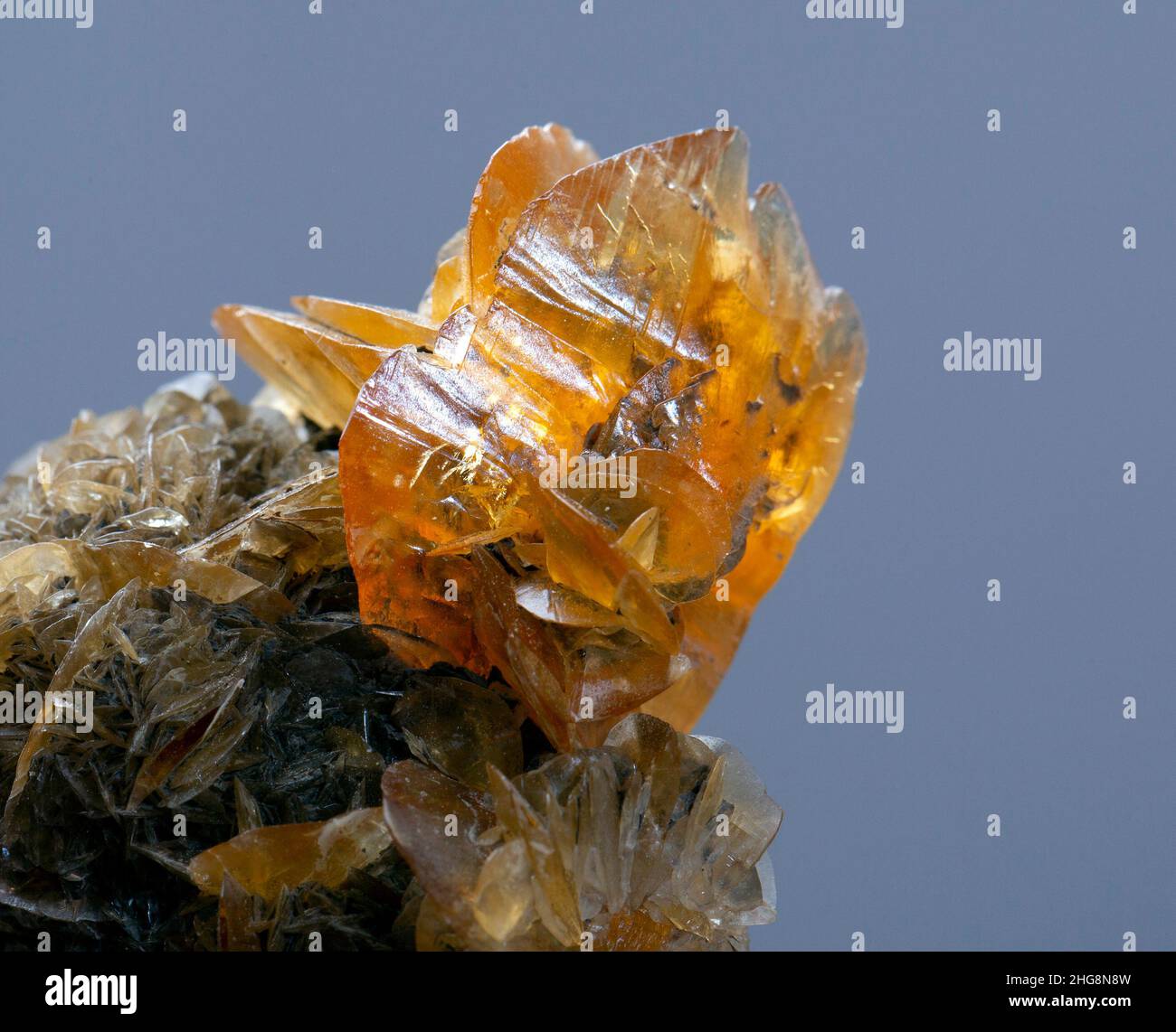 gypsum selenite mineral specimen stone rock geology gem crystal Stock ...