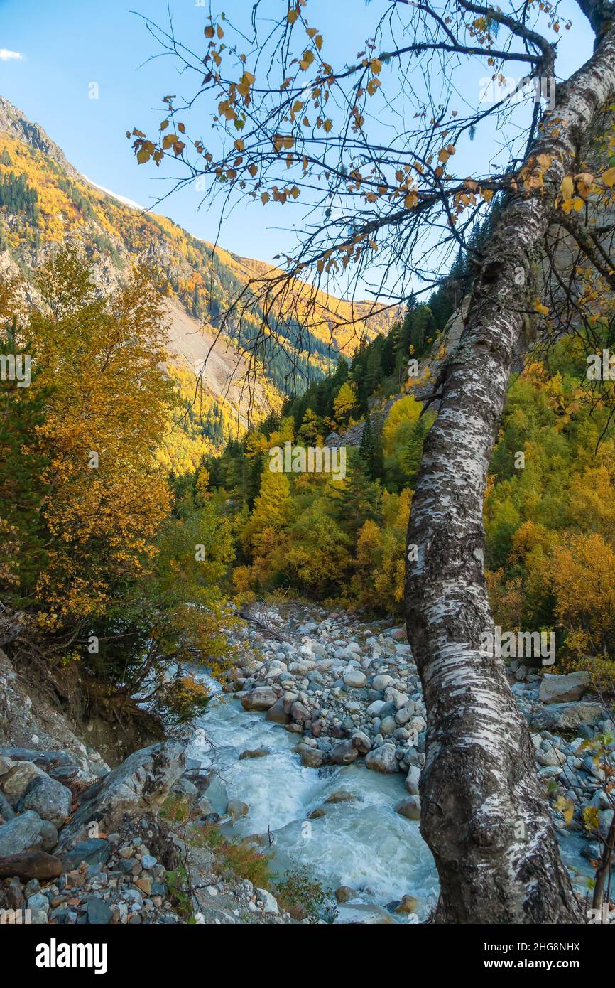 Beautiful atmospheric mountain landscape stormy river, autumn trees ...