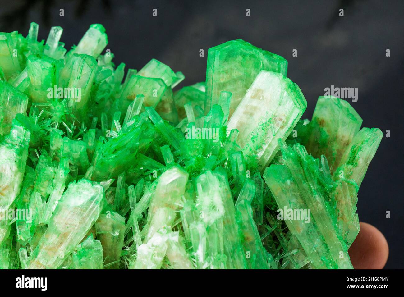 gypsum selenite mineral specimen stone rock geology gem crystal Stock ...