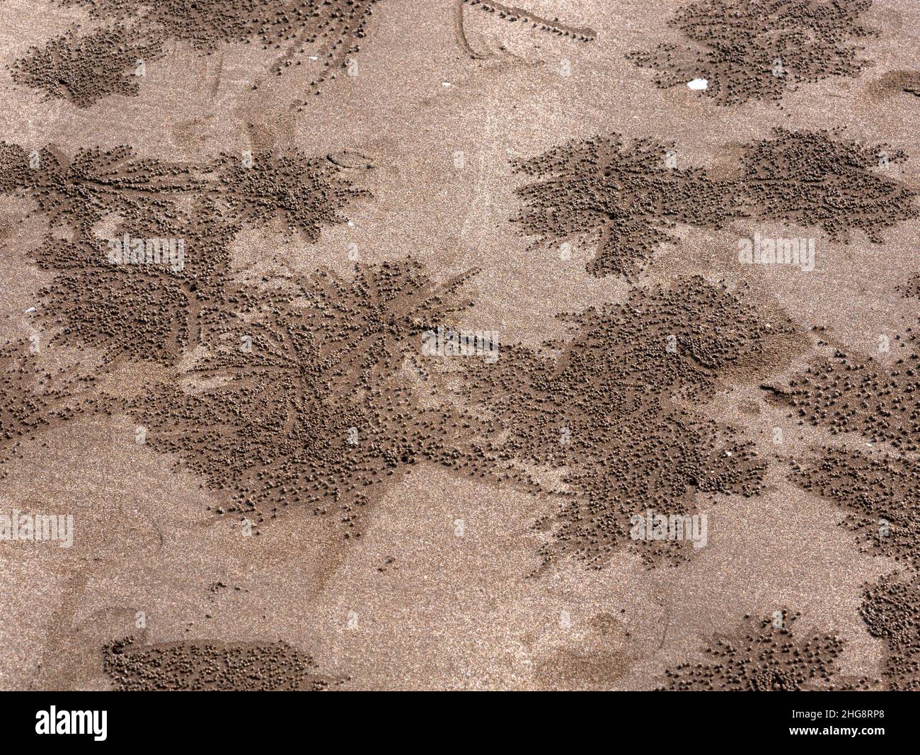 Natural pattern with small balls of sand and hole made by sand bubbler ...