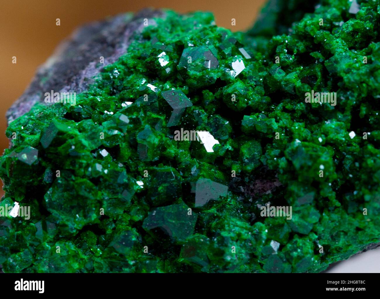 uvarovite mineral specimen stone rock geology gem crystal Stock Photo ...