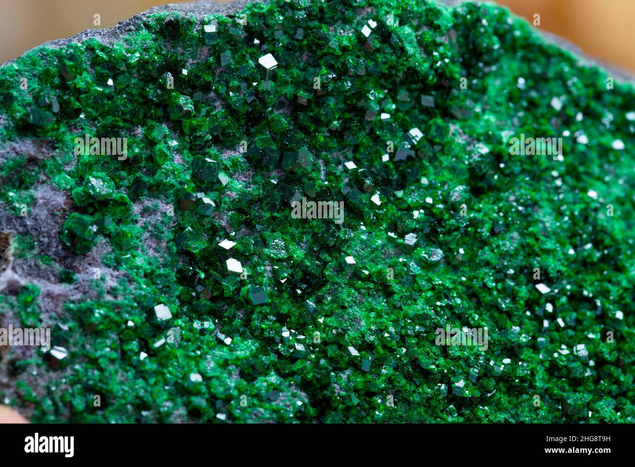 uvarovite mineral specimen stone rock geology gem crystal Stock Photo ...