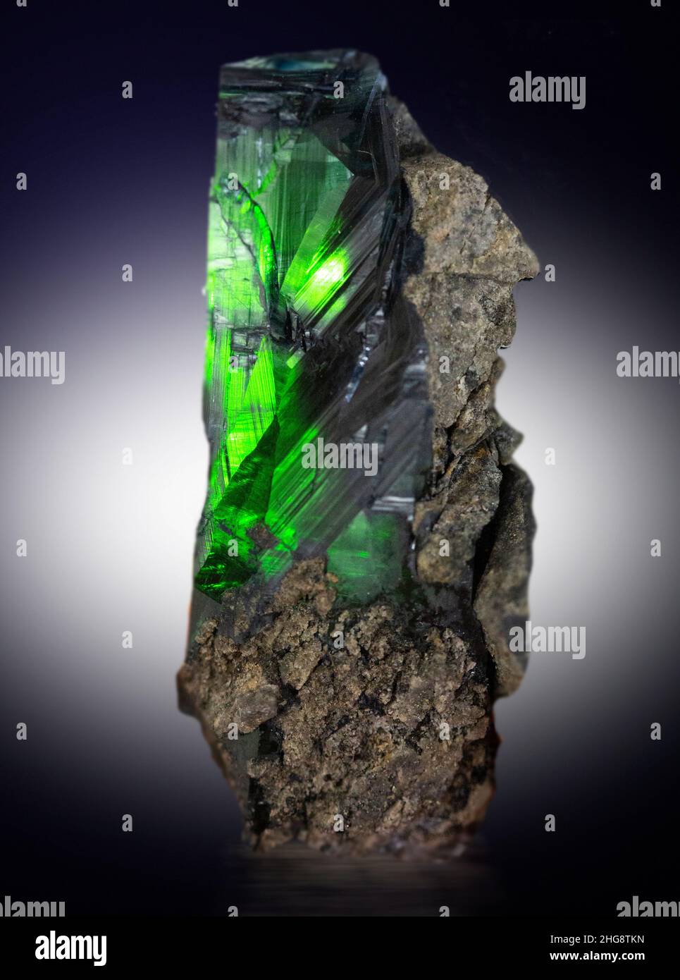 vivianite mineral specimen stone rock geology gem crystal Stock Photo ...