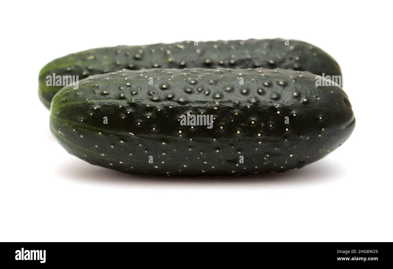 short dark green small cucumbers isolated on white background Stock ...