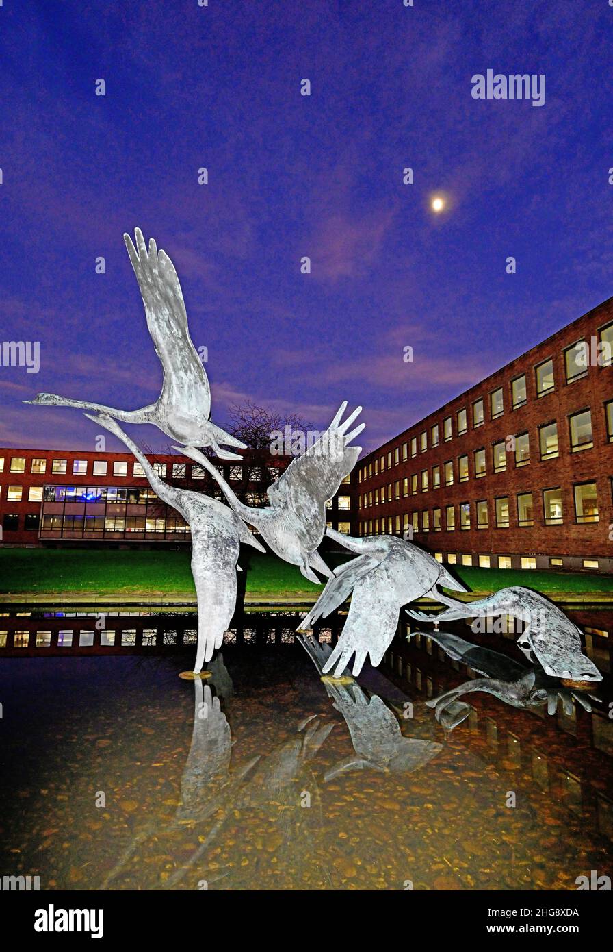 Swans in Flight by David Wynne, installed in the grounds of Newcastle ...