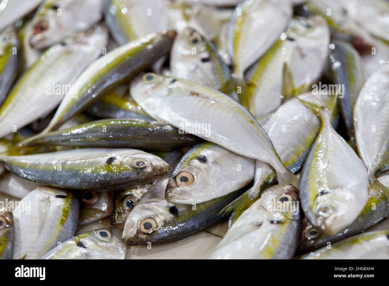 Close-up fresh Yellow-stripe scad fish at seafood market Stock Photo ...