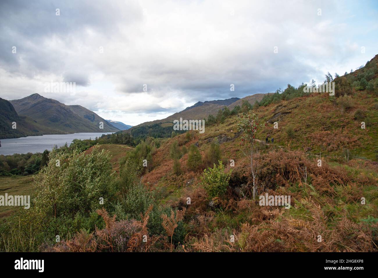 Scottish landscape with valley hi-res stock photography and images - Alamy