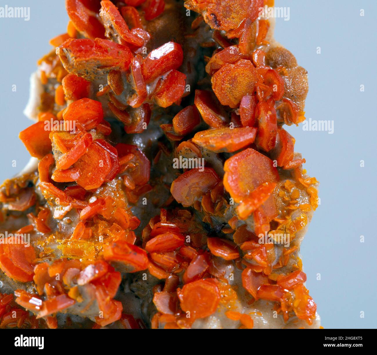 wulfenite mineral specimen stone rock geology gem crystal Stock Photo ...