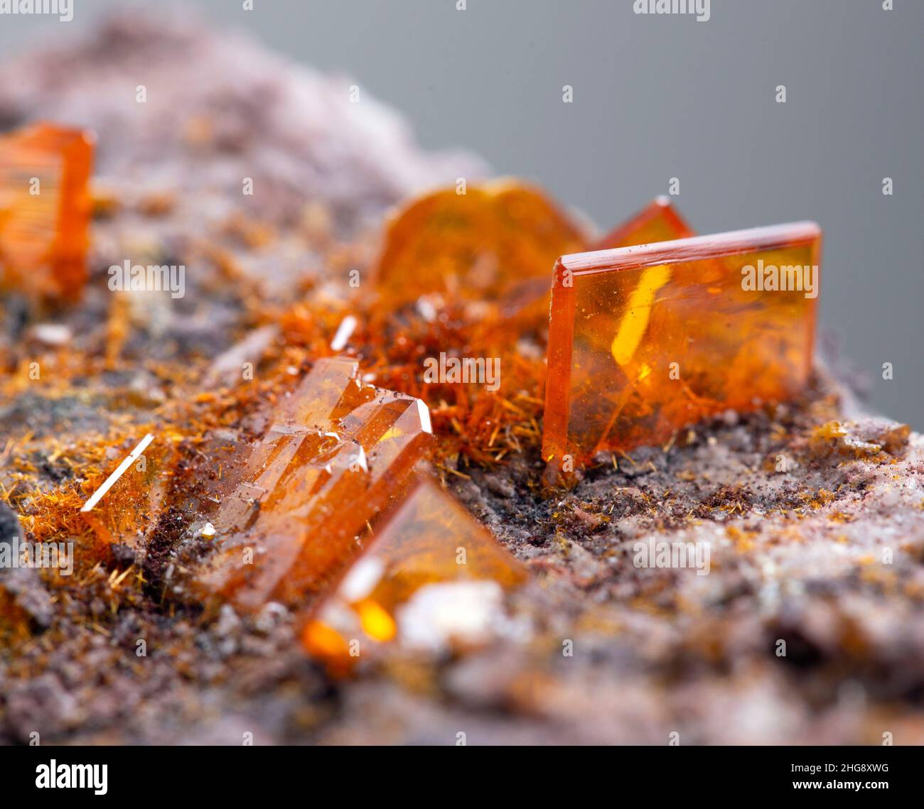 wulfenite mineral specimen stone rock geology gem crystal Stock Photo ...