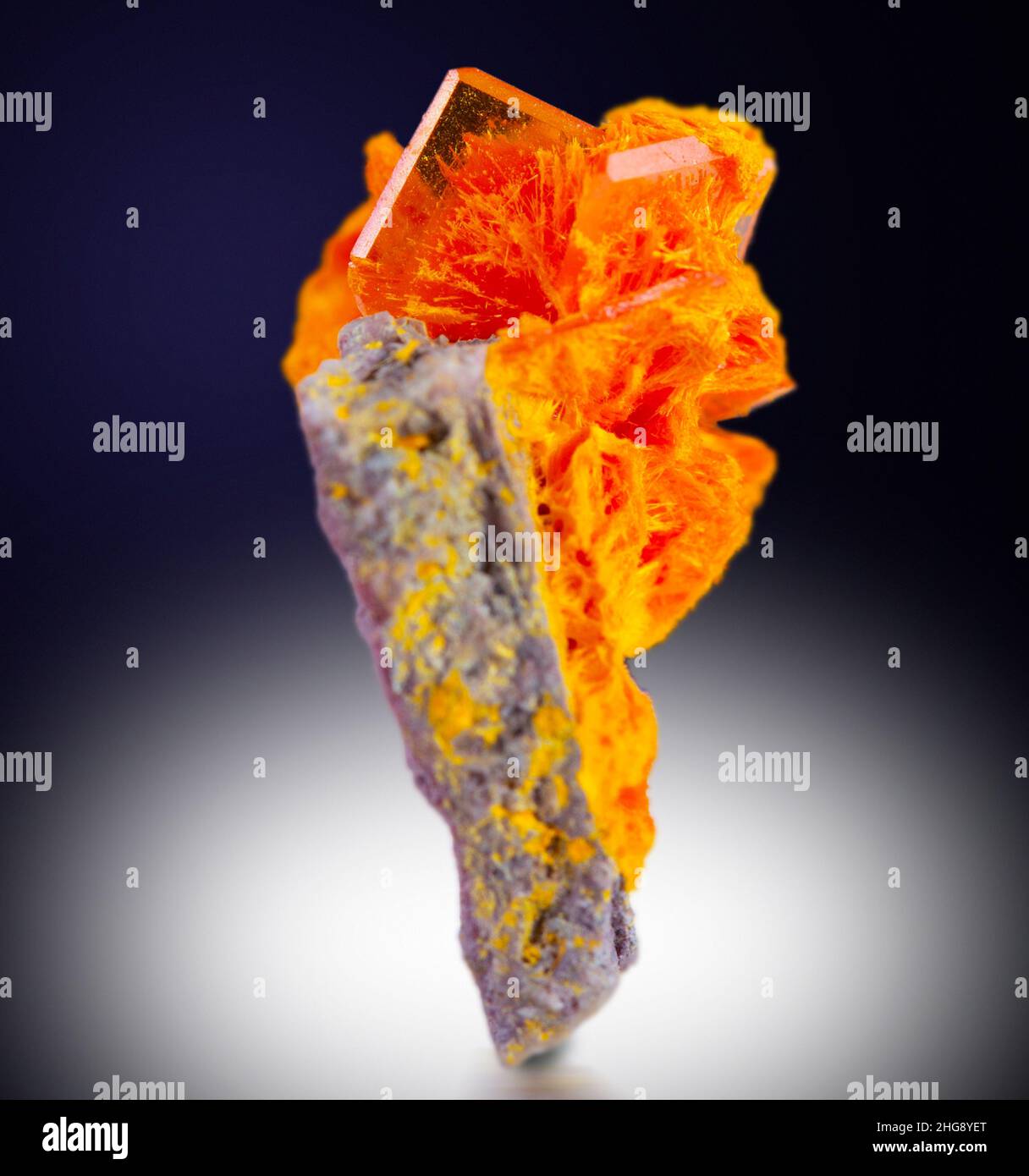 wulfenite mineral specimen stone rock geology gem crystal Stock Photo ...