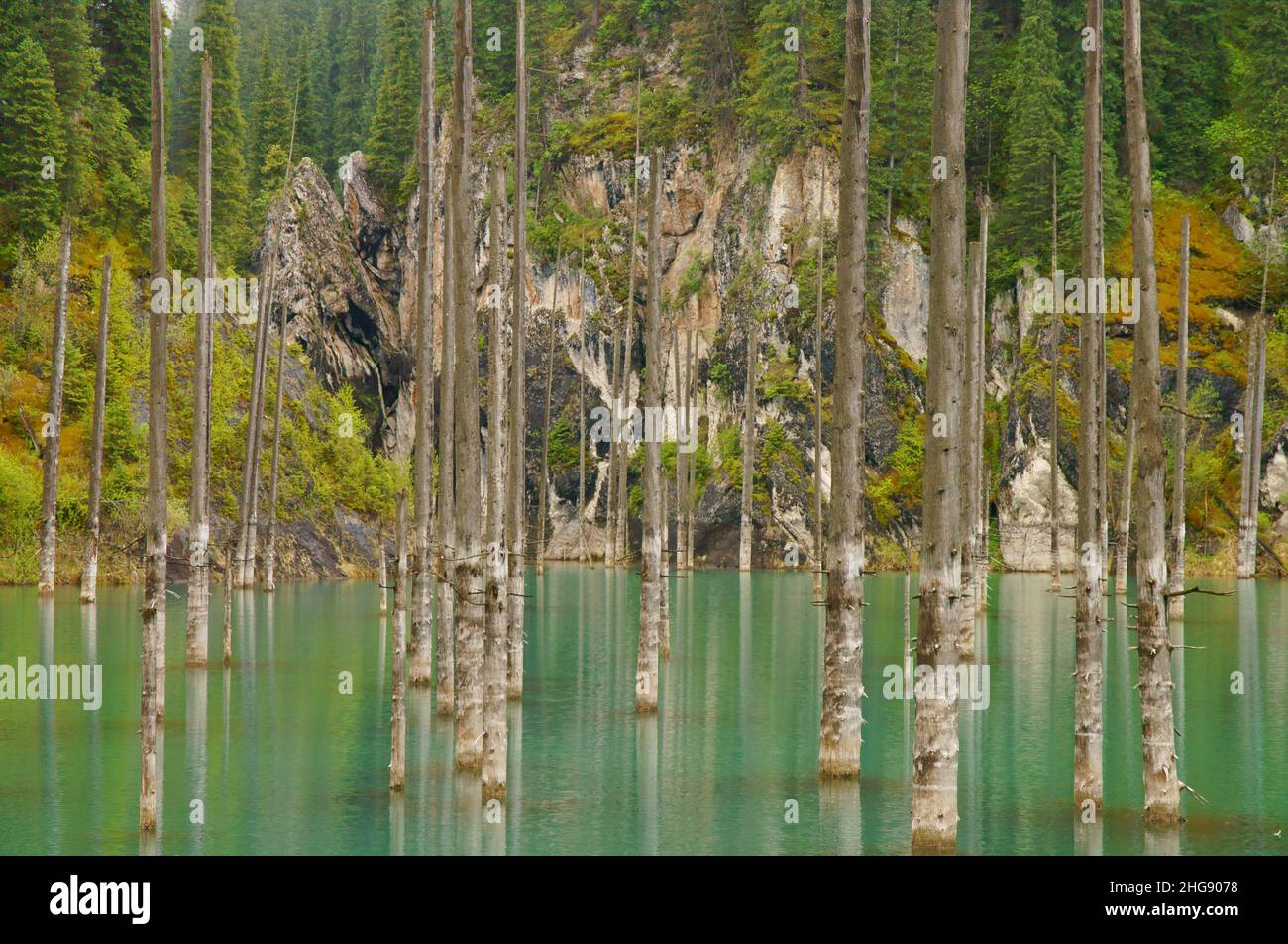 Kaindy kazakhstan hi-res stock photography and images - Alamy