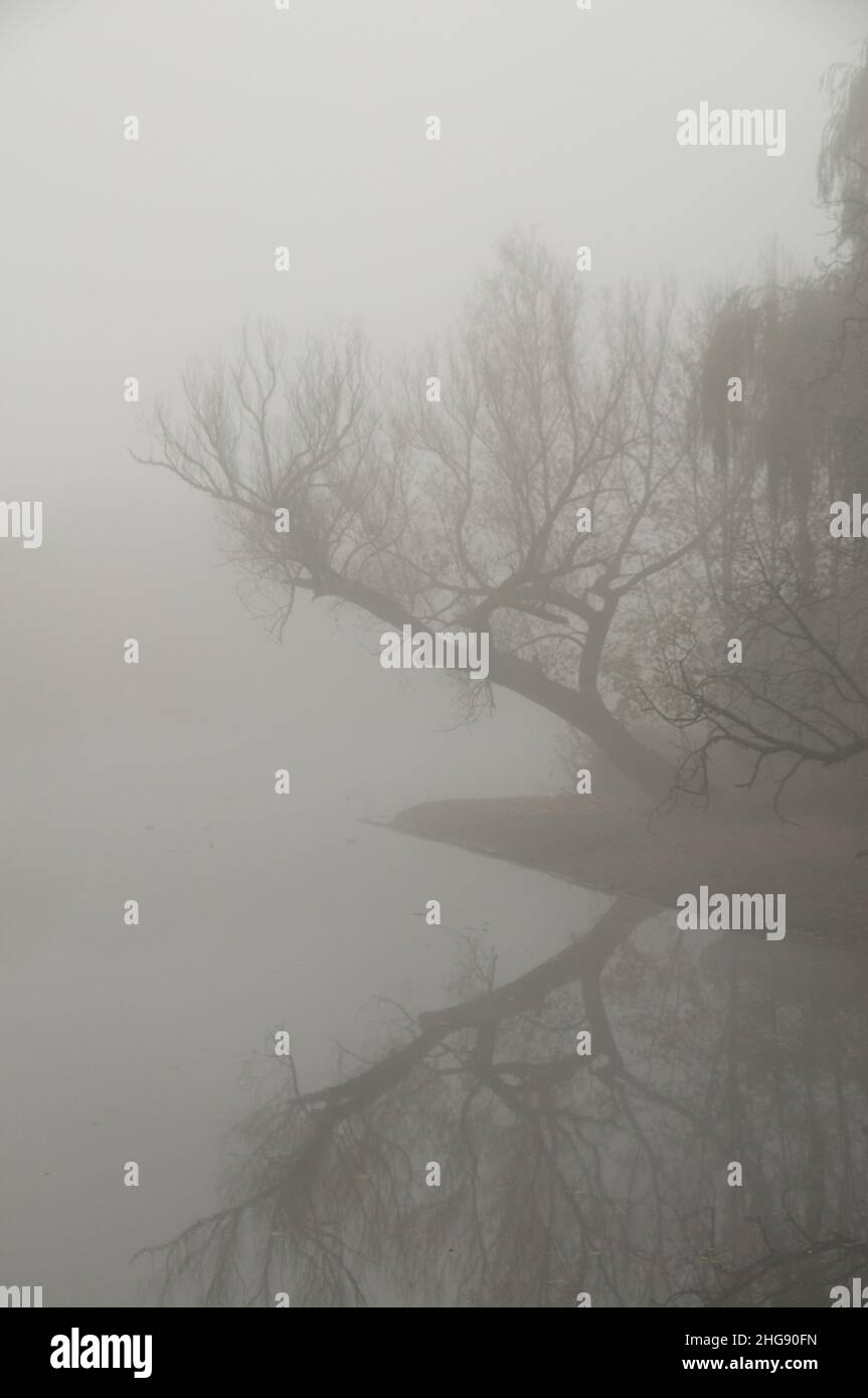 Foggy river hi-res stock photography and images - Alamy