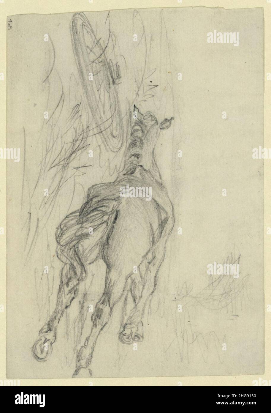 Sketch of a dead horse Stock Photo - Alamy