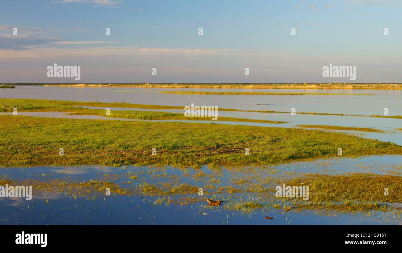 Beautiful spring background. Spring floodplain of the river. Ili river ...