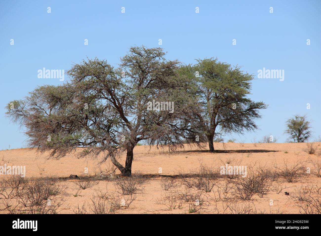 Frontier landscapes hi-res stock photography and images - Alamy