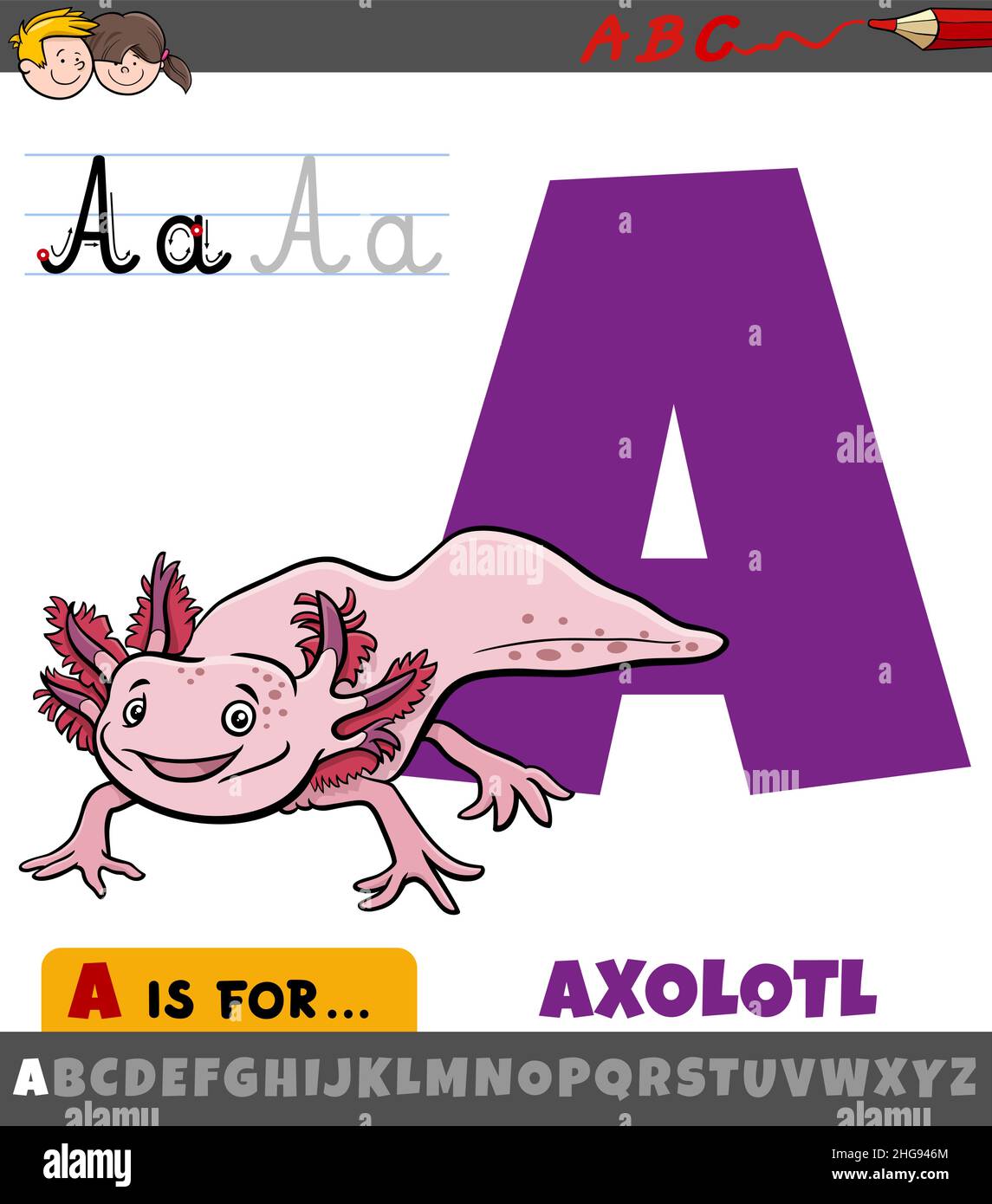 Educational cartoon illustration of letter A from alphabet with axolotl ...