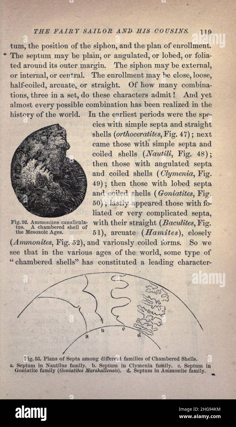 Sketches of creation (Page 119 Stock Photo - Alamy